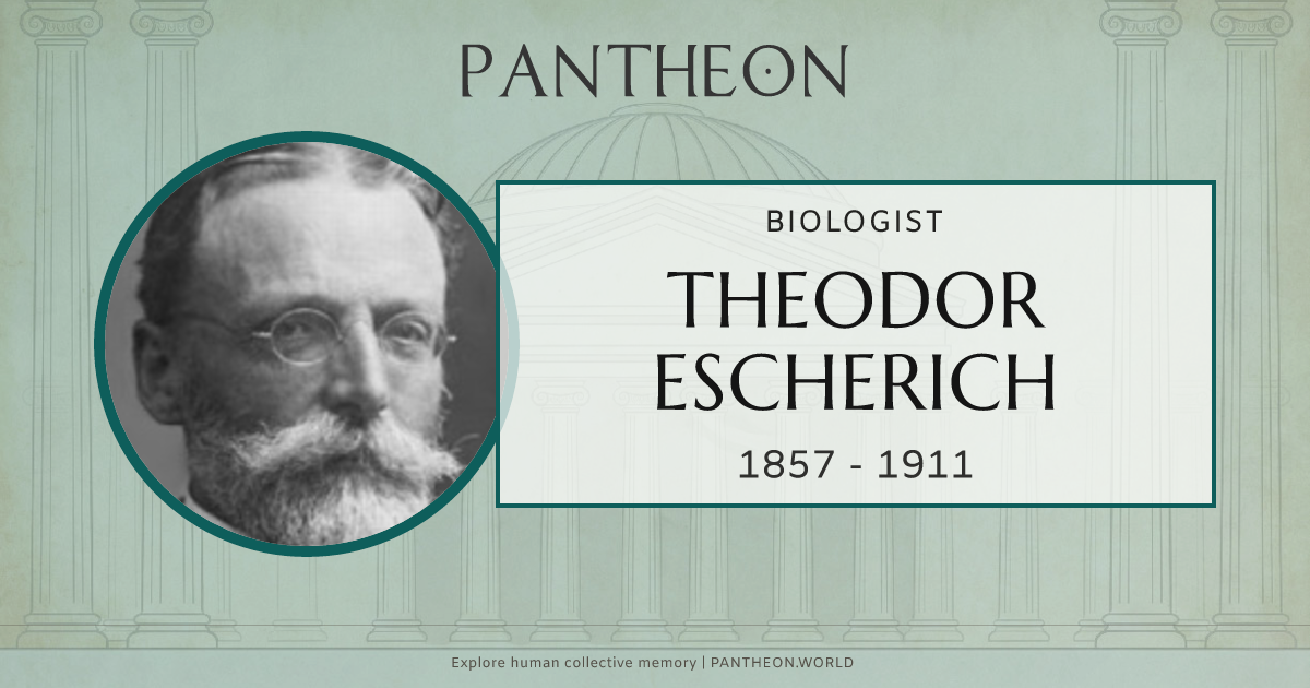 Theodor Escherich Biography | Pantheon