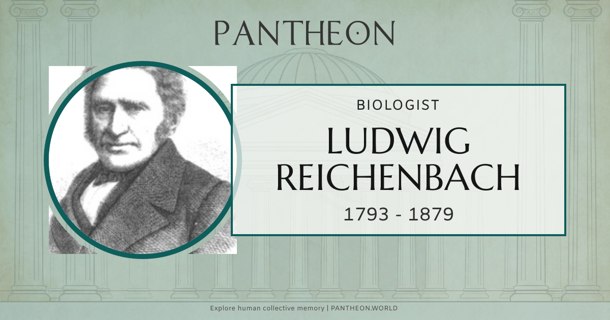Ludwig Reichenbach Biography | Pantheon