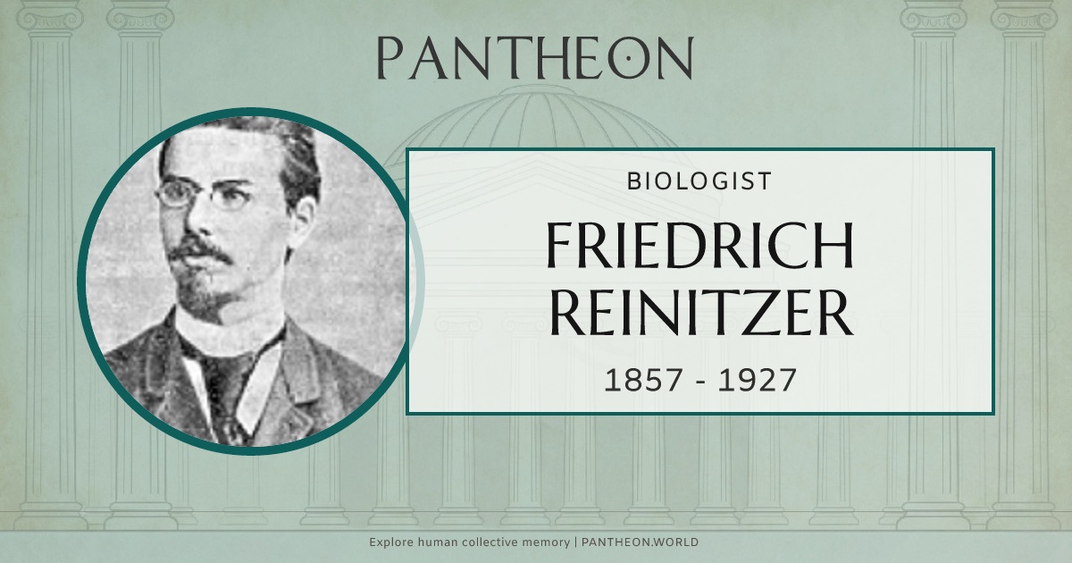 Friedrich Reinitzer Biography | Pantheon