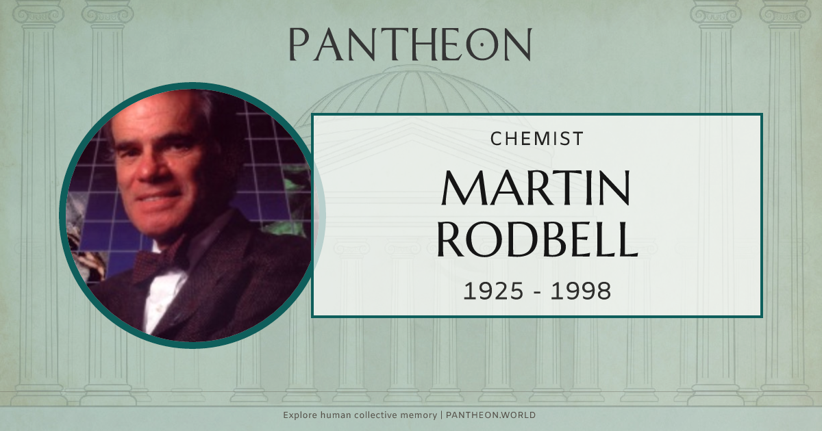 Martin Rodbell Biography | Pantheon