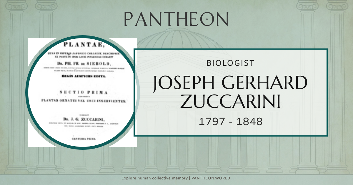 Joseph Gerhard Zuccarini Biography | Pantheon