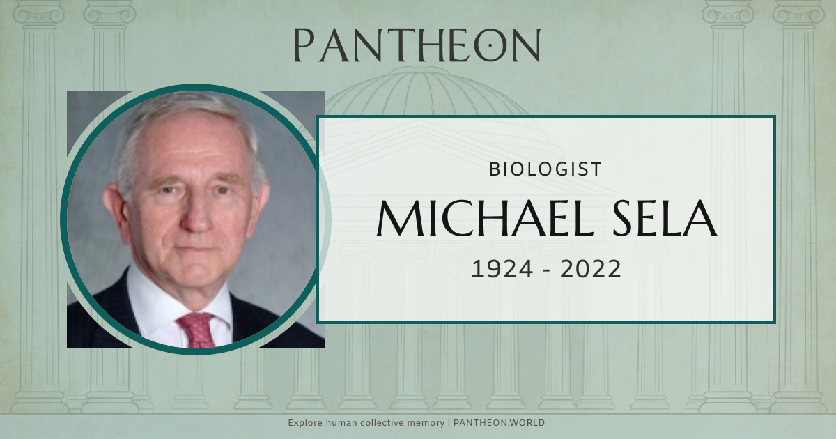 Michael Sela Biography | Pantheon