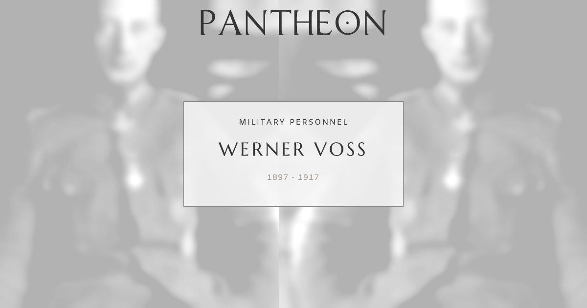 Werner Voss Biography | Pantheon