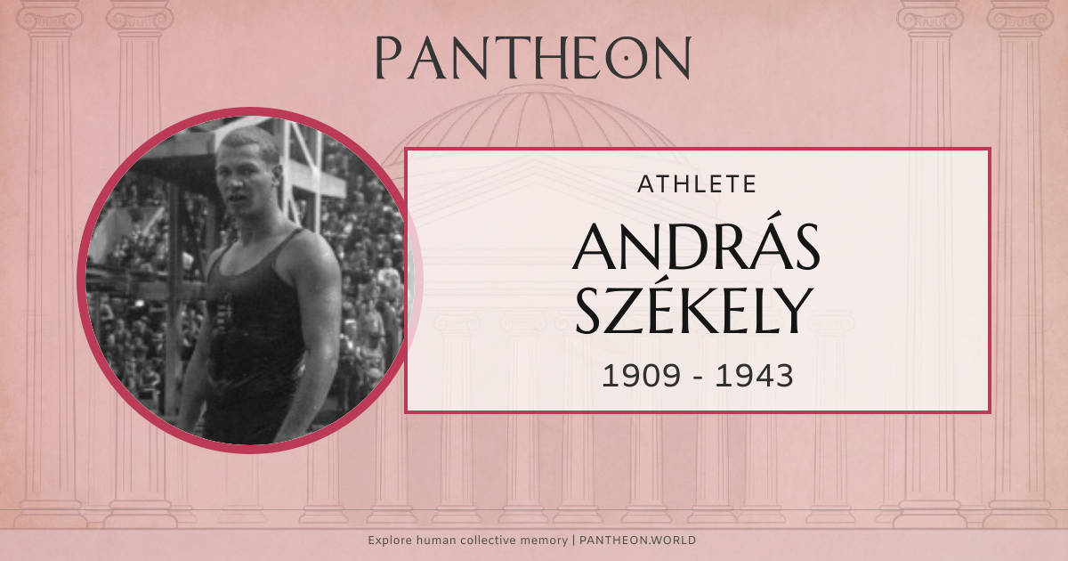 András Székely Biography | Pantheon