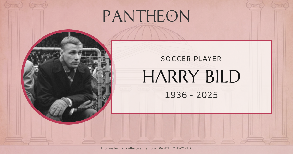 Harry Bild Biography | Pantheon