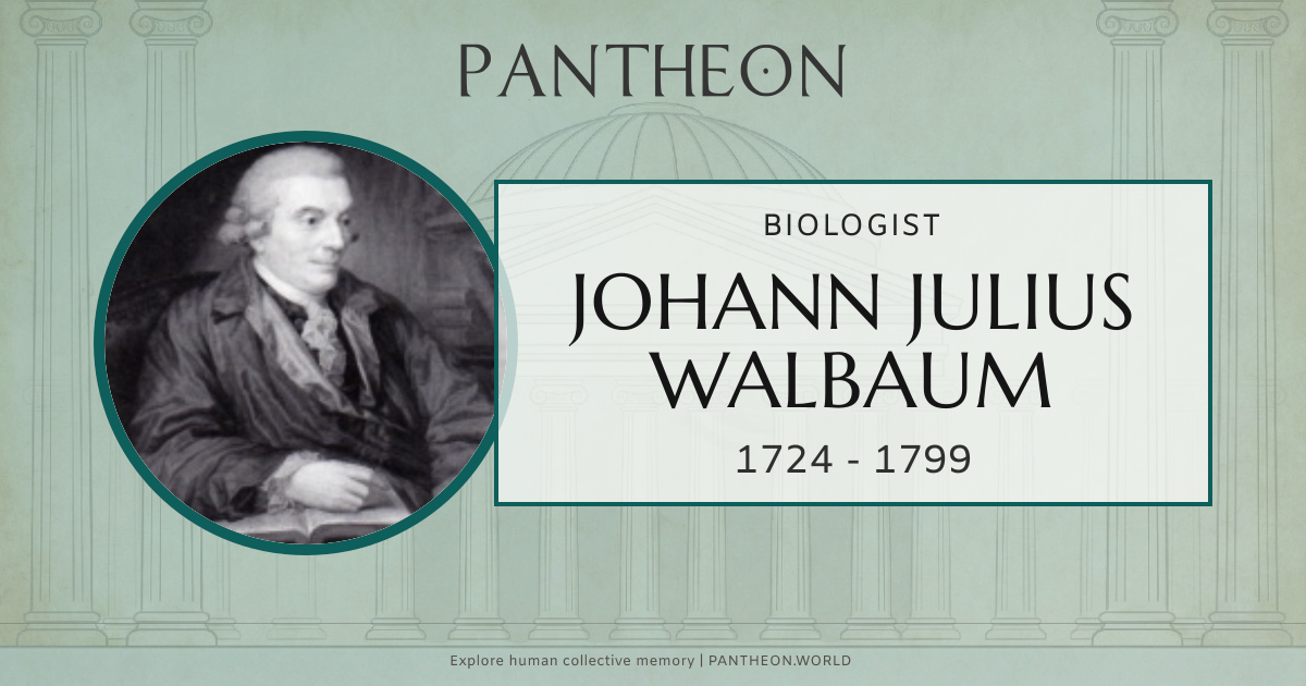 Johann Julius Walbaum Biography | Pantheon