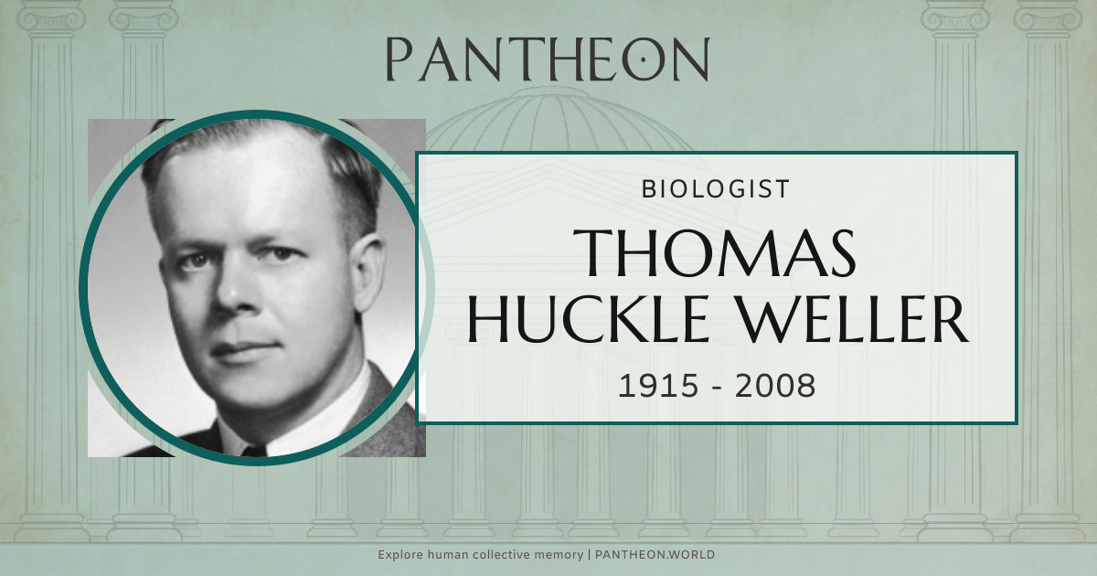 Thomas Huckle Weller Biography | Pantheon