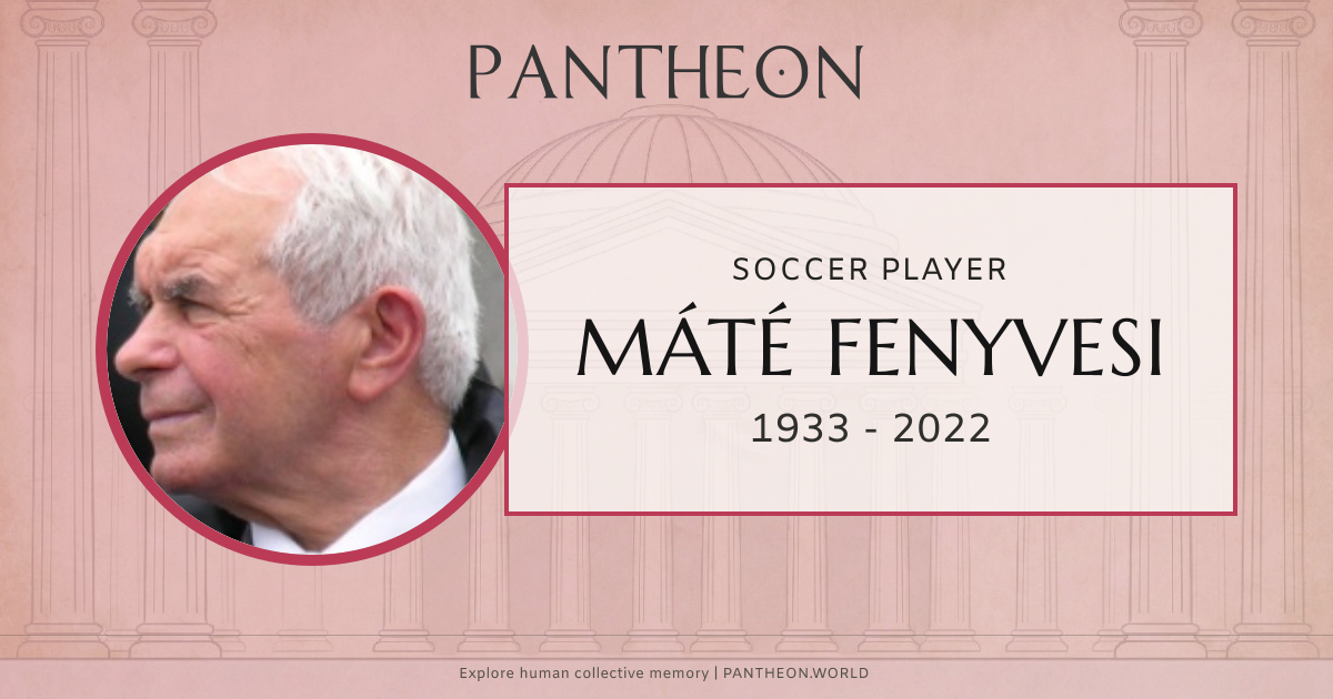 Máté Fenyvesi Biography | Pantheon
