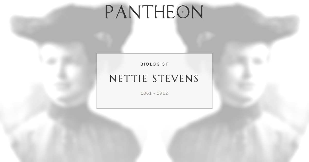 Nettie Stevens Biography | Pantheon