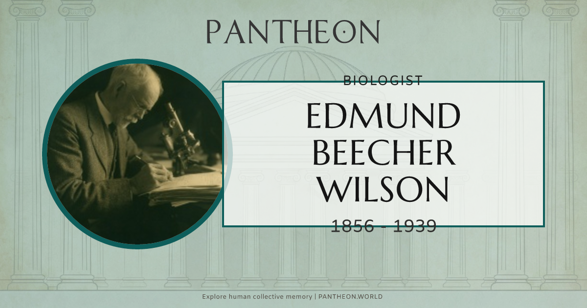 Edmund Beecher Wilson Biography | Pantheon