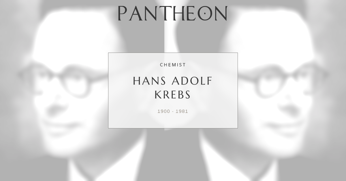 Hans Adolf Krebs Biography | Pantheon