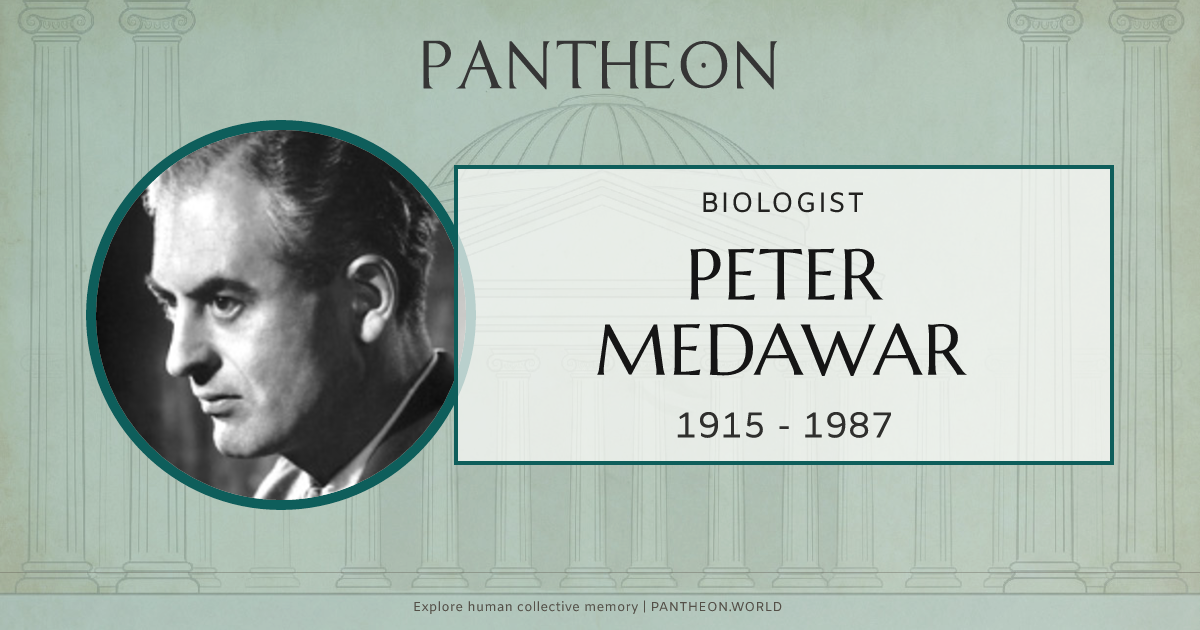 Peter Medawar Biography | Pantheon