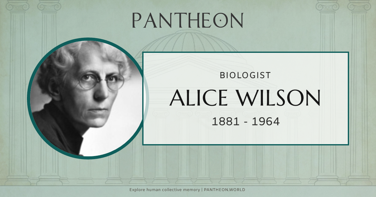 Alice Wilson Biography | Pantheon