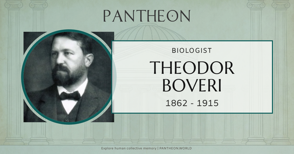 Theodor Boveri Biography | Pantheon
