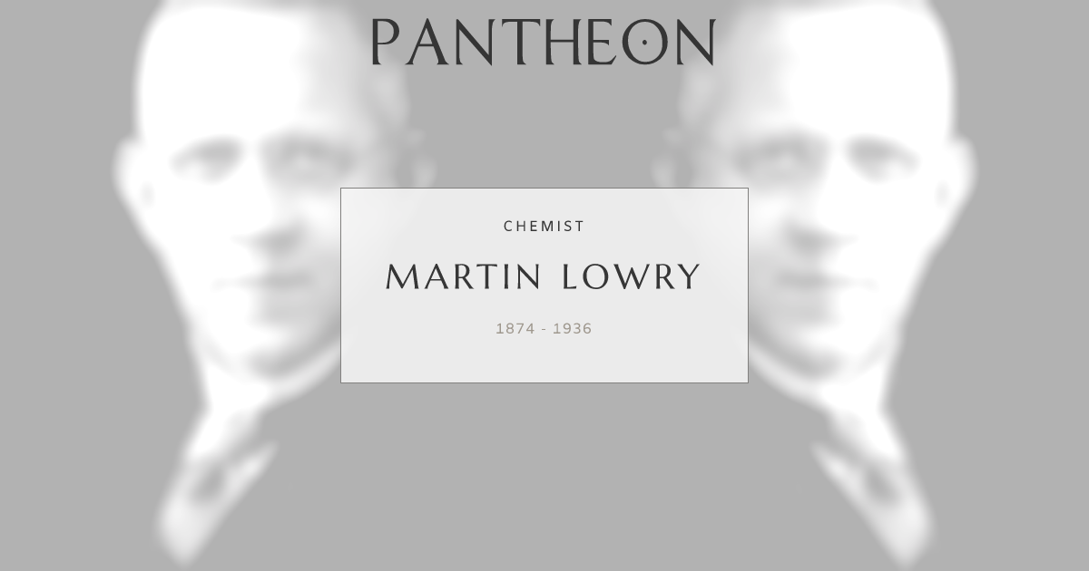 Martin Lowry Biography | Pantheon