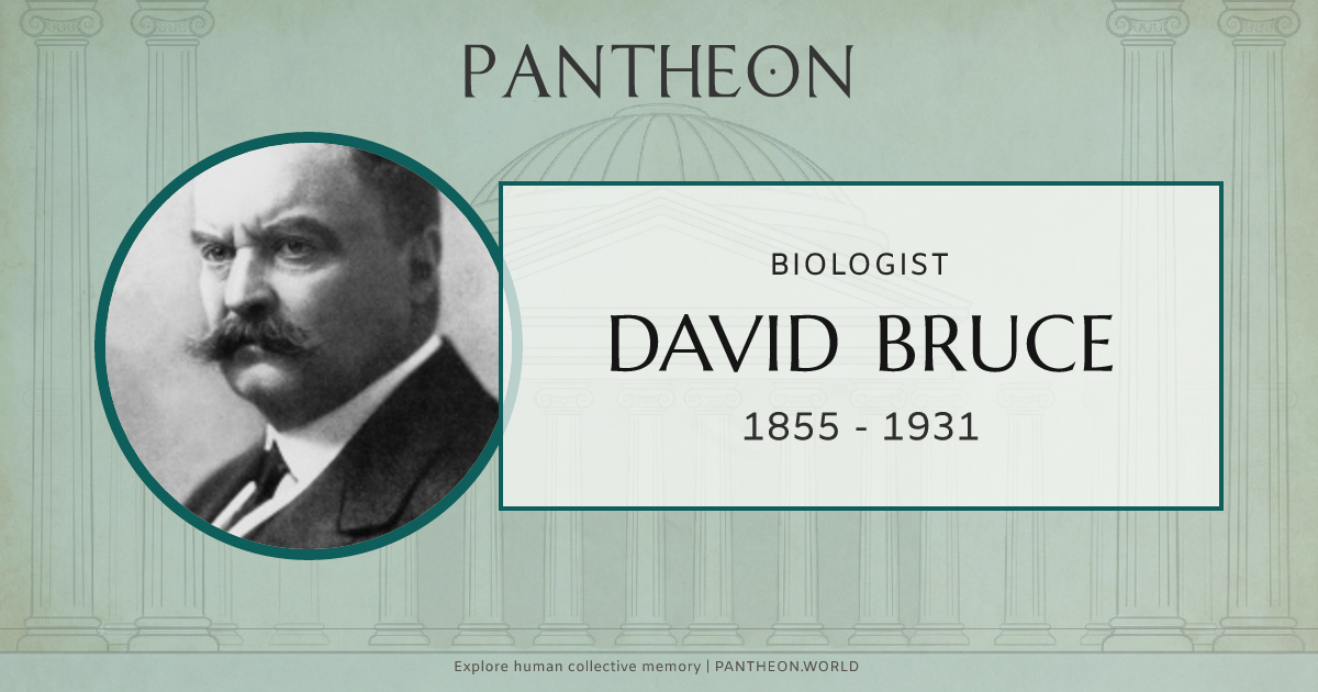 David Bruce Biography | Pantheon