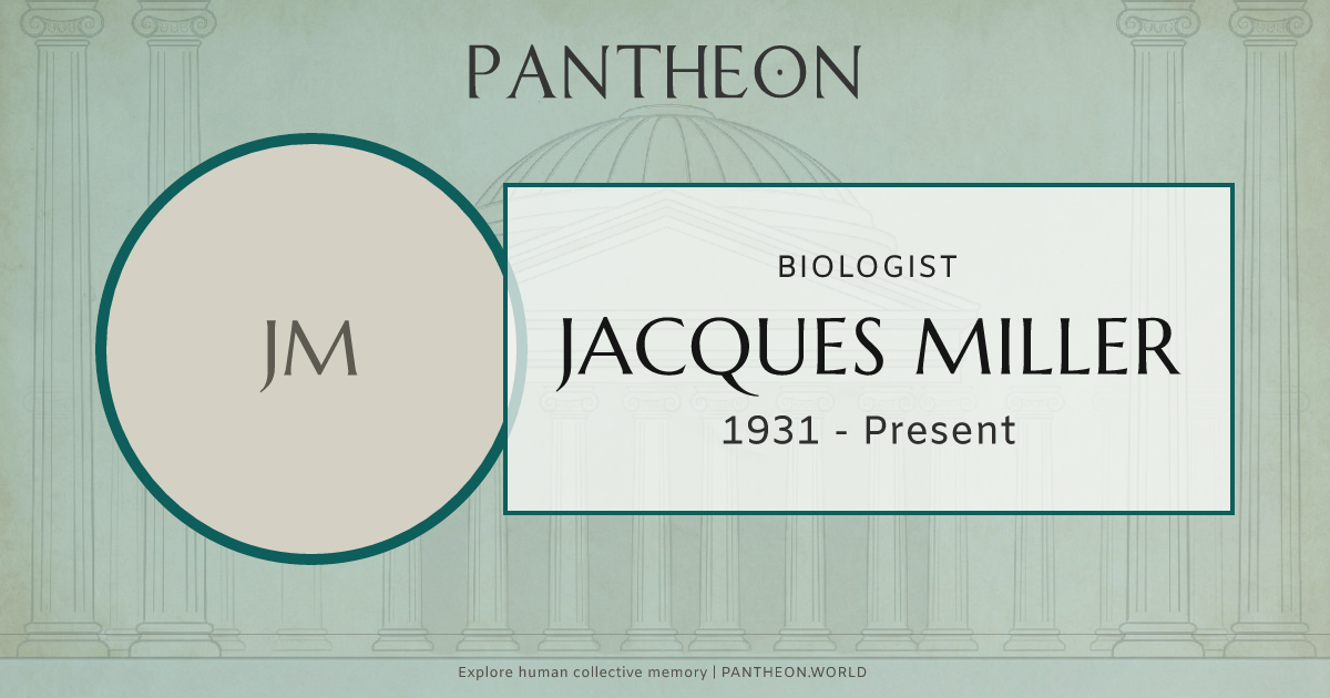 Jacques Miller Biography | Pantheon