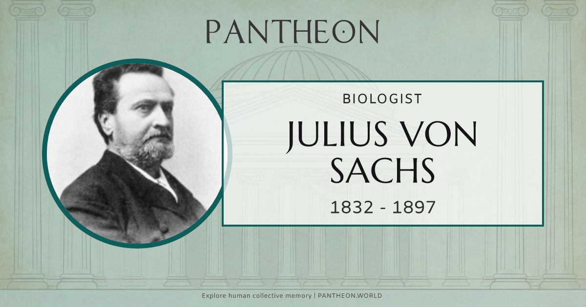 Julius von Sachs Biography | Pantheon