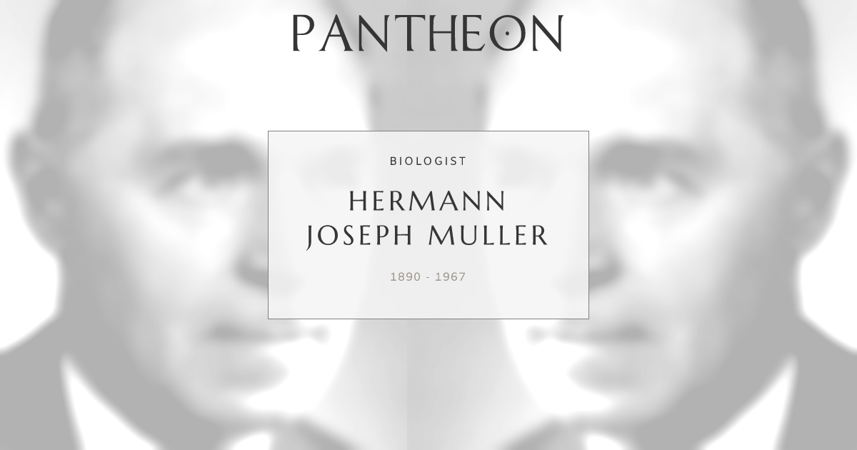 Hermann Joseph Muller Biography | Pantheon