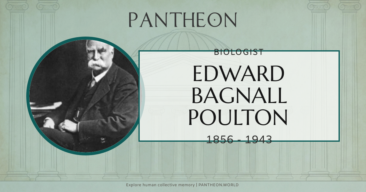 Edward Bagnall Poulton Biography | Pantheon