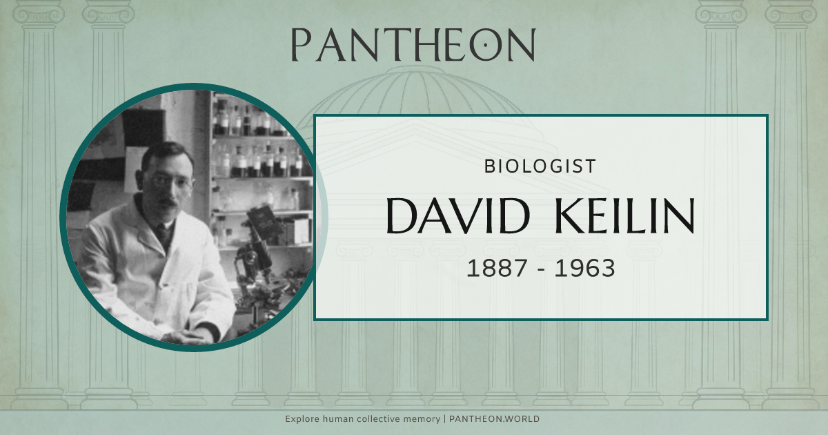 David Keilin Biography | Pantheon