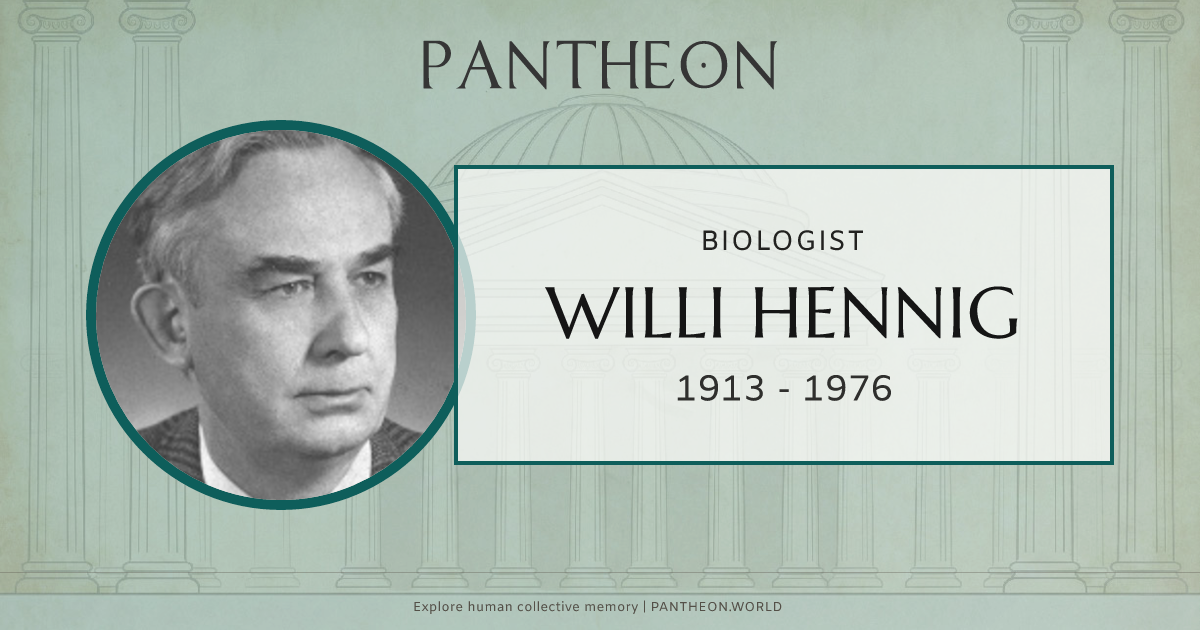 Willi Hennig Biography | Pantheon