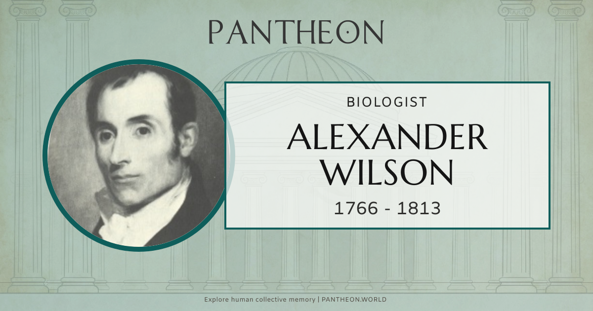 Alexander Wilson Biography | Pantheon