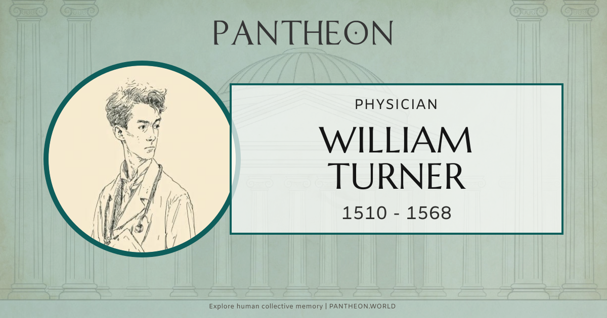 William Turner Biography | Pantheon