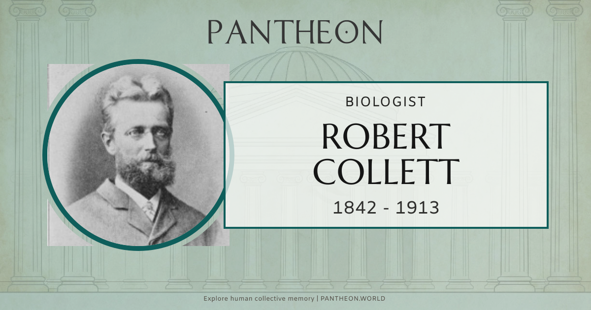 Robert Collett Biography | Pantheon