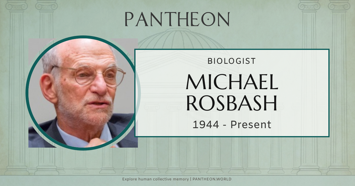 Michael Rosbash Biography | Pantheon