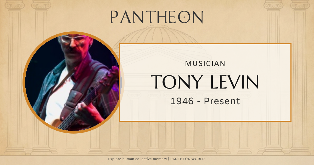 Tony Levin Biography | Pantheon
