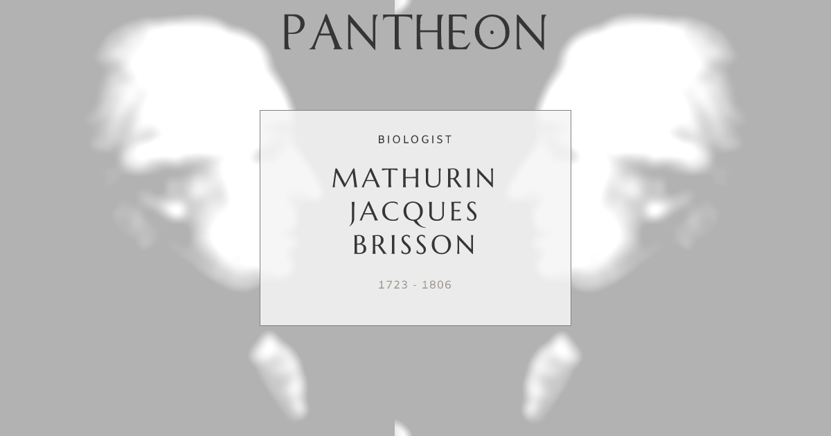 Mathurin Jacques Brisson Biography | Pantheon