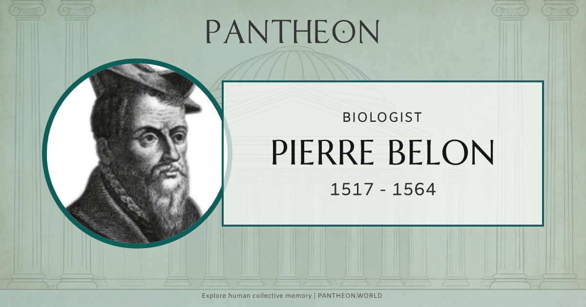 Pierre Belon Biography | Pantheon