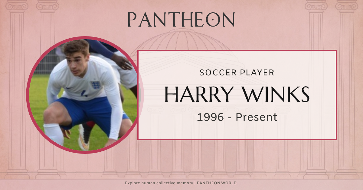 Harry Winks Biography | Pantheon