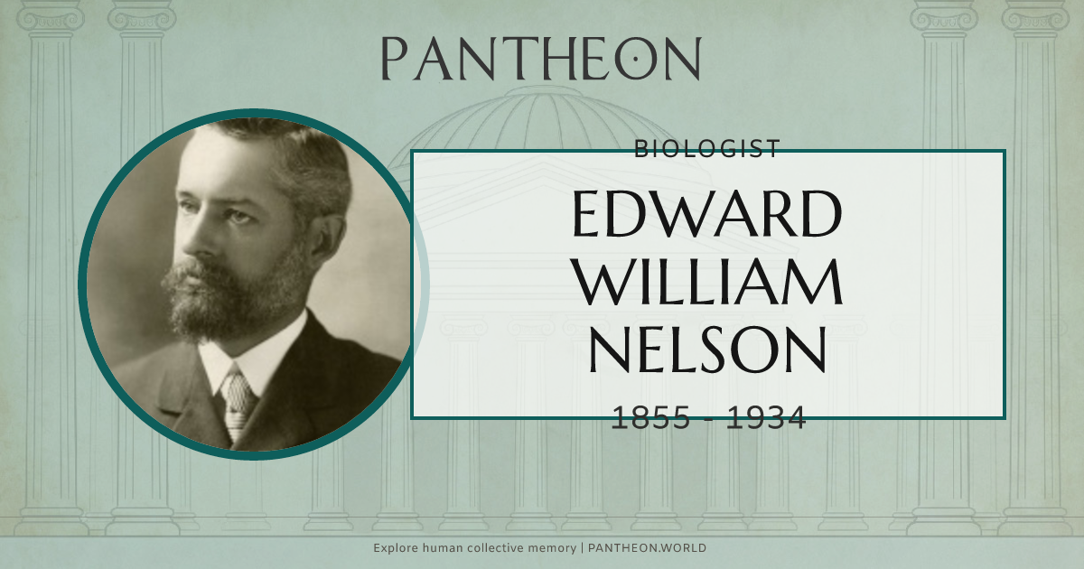 Edward William Nelson Biography | Pantheon