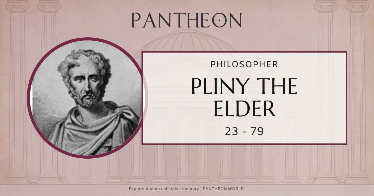 Pliny the Elder Biography | Pantheon