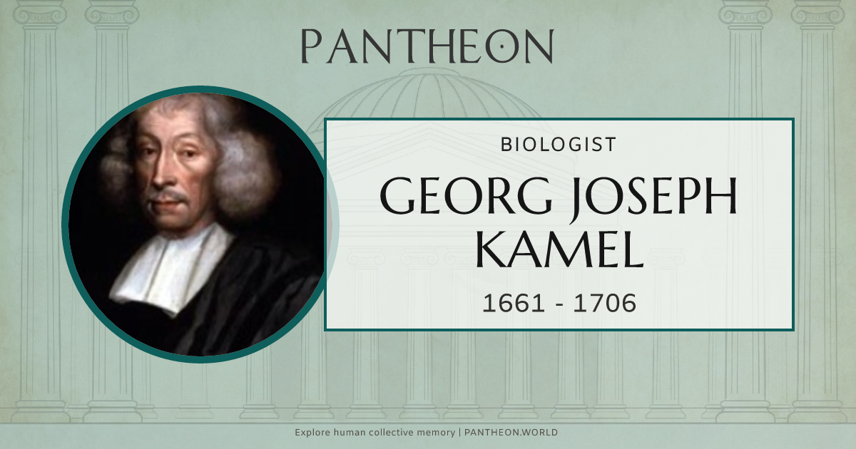 Georg Joseph Kamel Biography | Pantheon