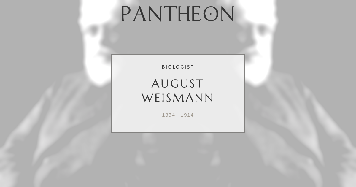 August Weismann Biography | Pantheon