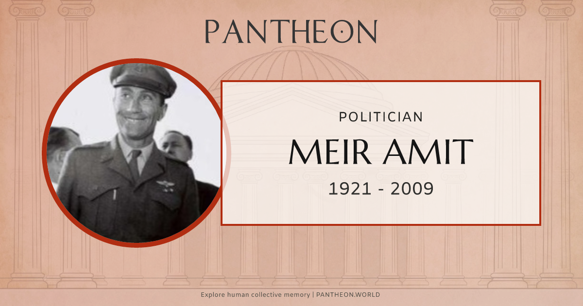 Meir Amit Biography | Pantheon