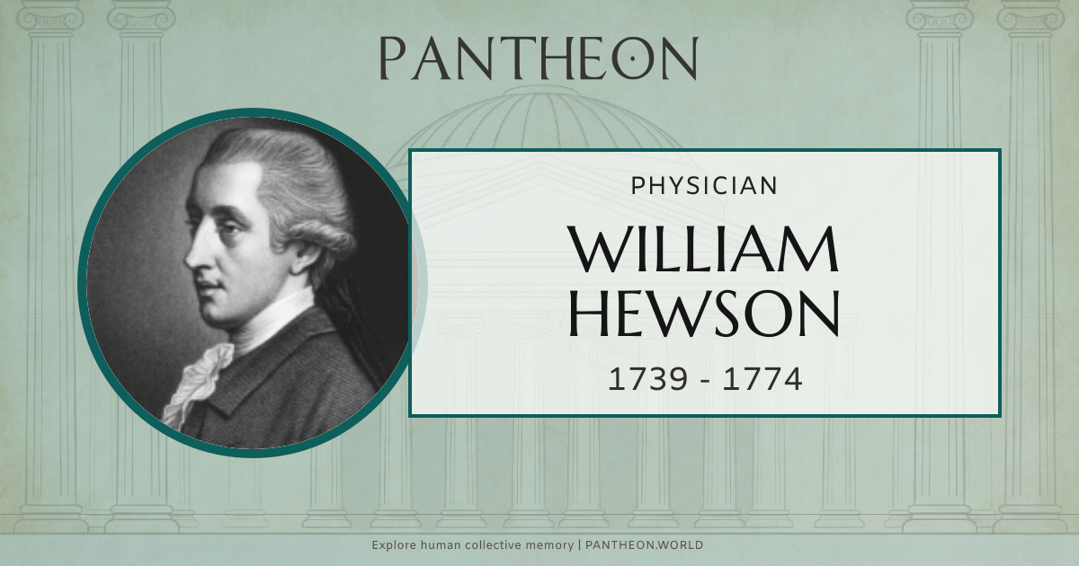 William Hewson Biography | Pantheon