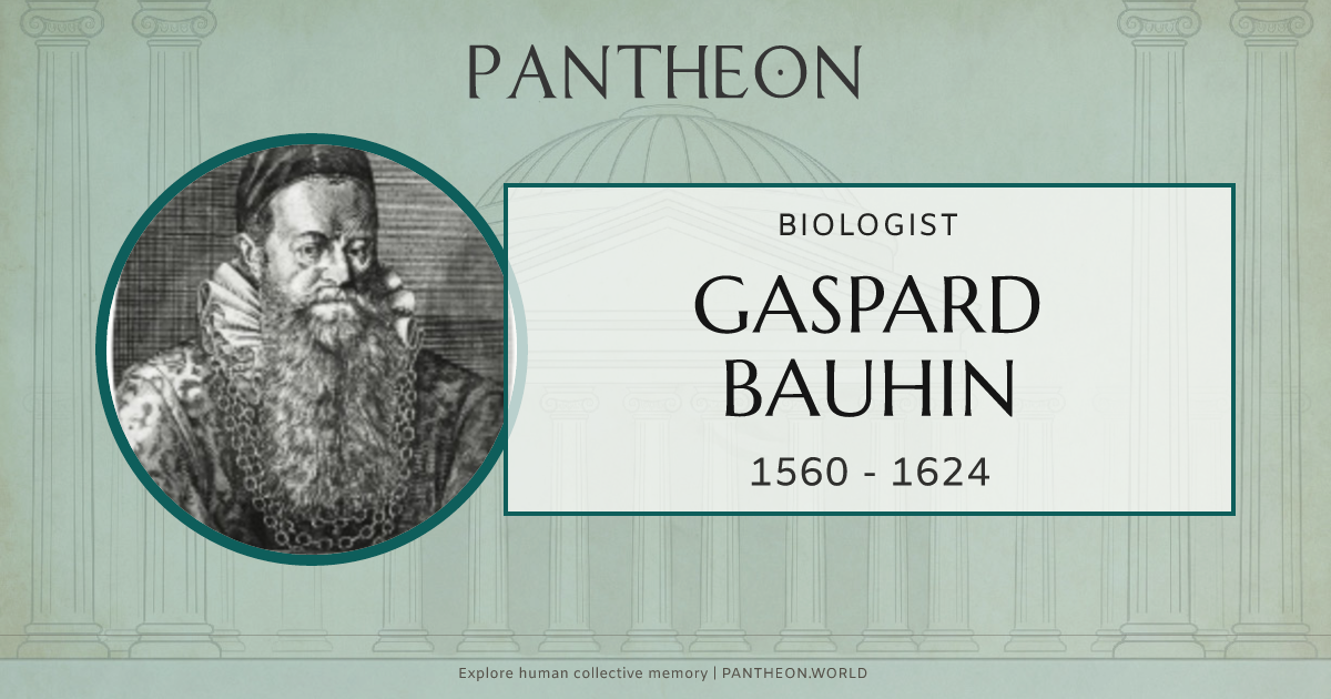 Gaspard Bauhin Biography | Pantheon