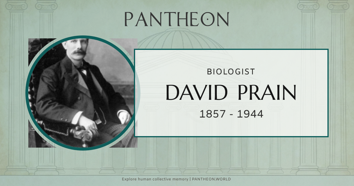 David Prain Biography | Pantheon
