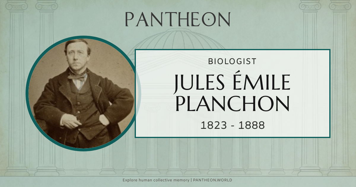 Jules Émile Planchon Biography | Pantheon