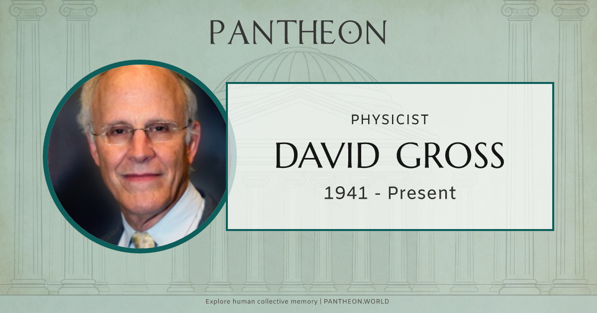David Gross Biography | Pantheon
