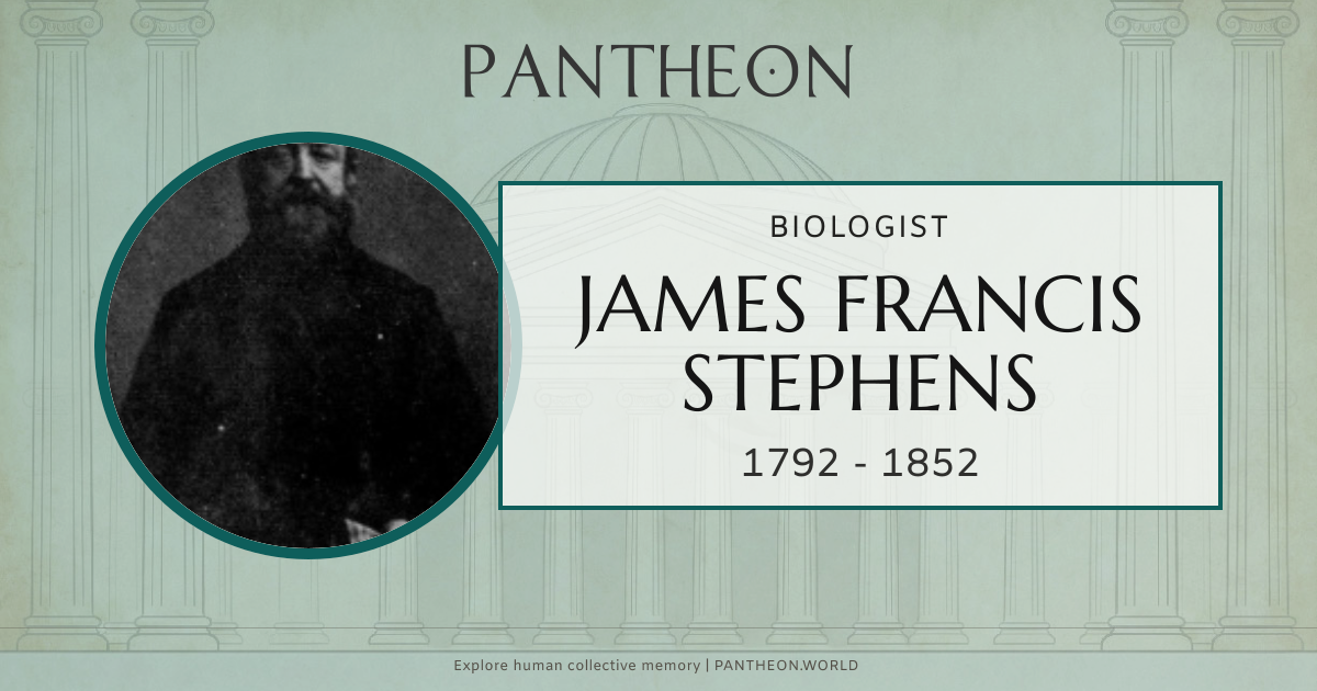 James Francis Stephens Biography | Pantheon