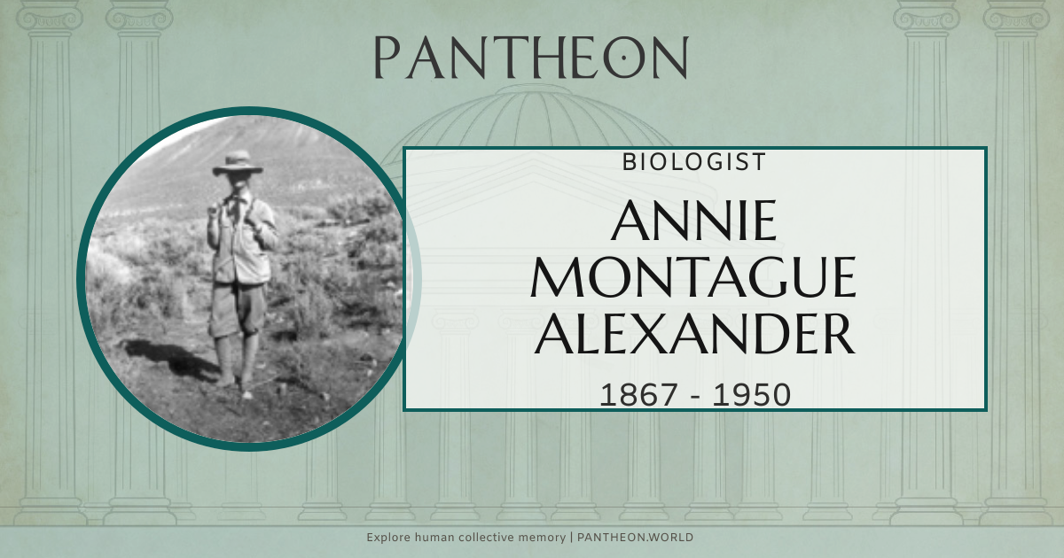 Annie Montague Alexander Biography | Pantheon
