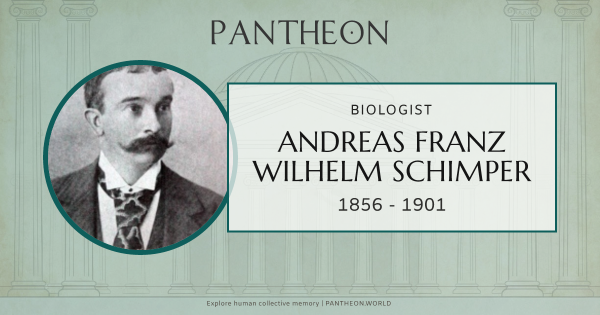 Andreas Franz Wilhelm Schimper Biography | Pantheon