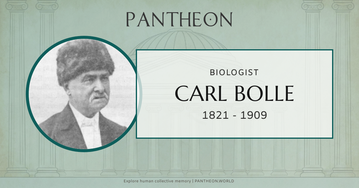 Carl Bolle Biography | Pantheon