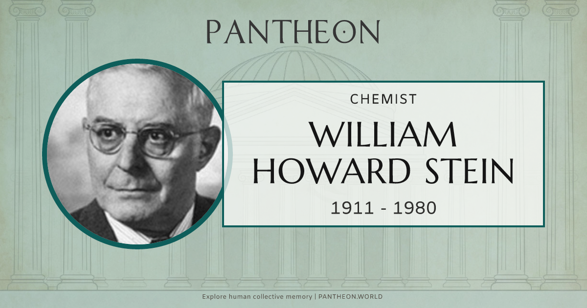 William Howard Stein Biography | Pantheon