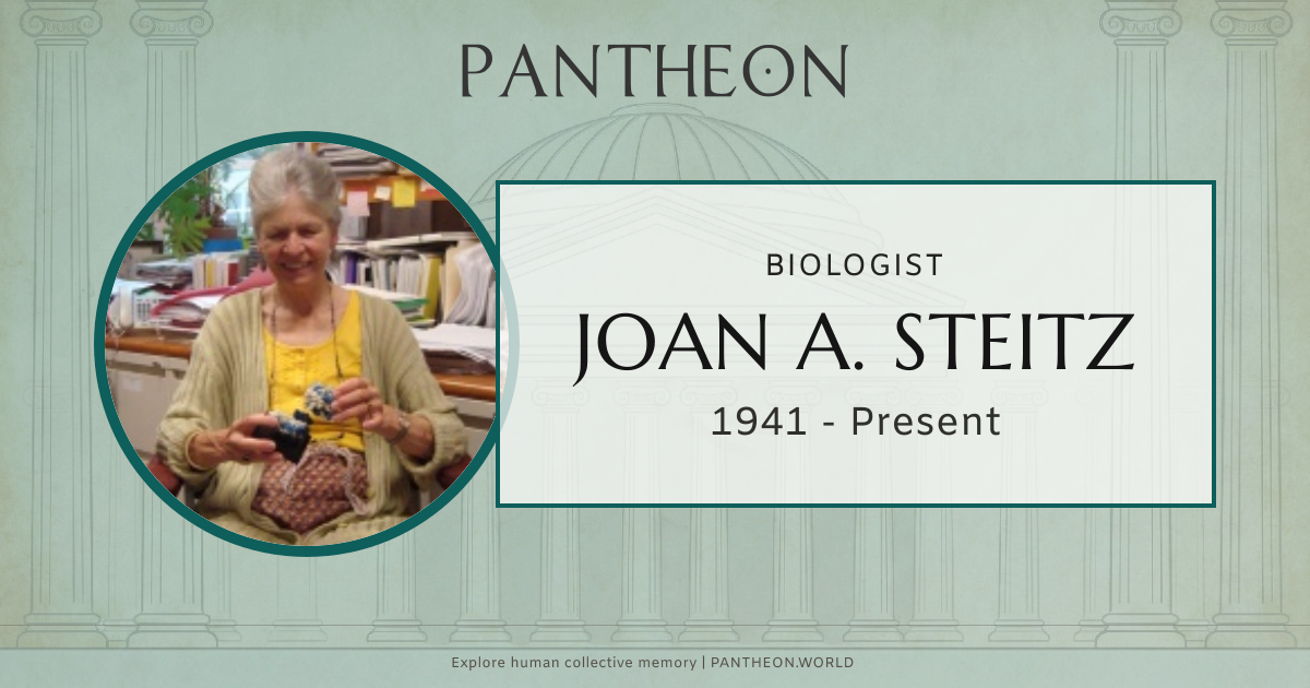 Joan A. Steitz Biography | Pantheon